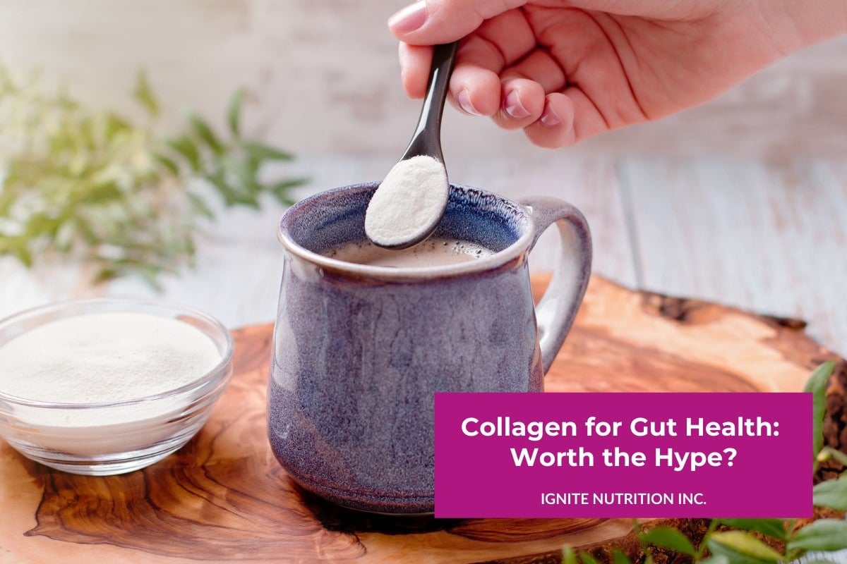 Collagen Benefits for Gut Health - Ignite Nutrition