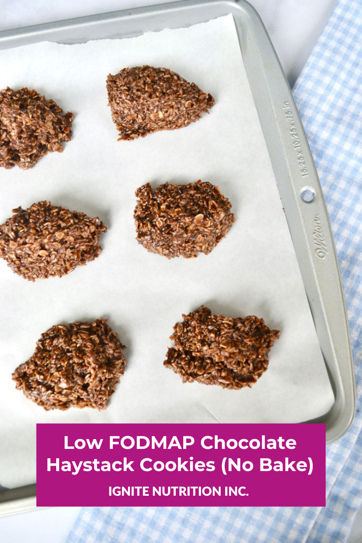 Low FODMAP Chocolate Haystack Cookies (No Bake) - Ignite Nutrition
